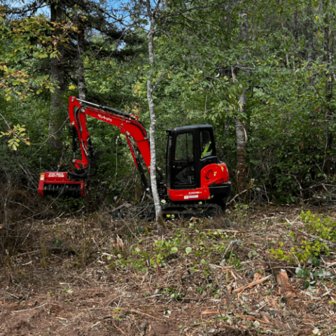 Professional Brush Clearing Services | Land Clearing NW